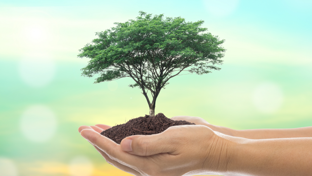 The Growth Mindset: 5 Ways To Transform Your Thinking - Lead Magazine